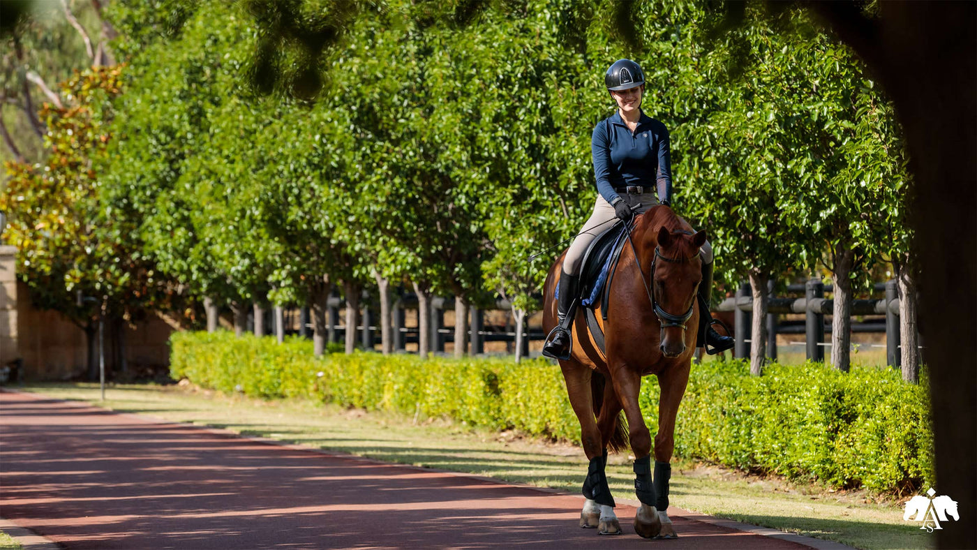 Arena Saddles - Perfect in any Arena